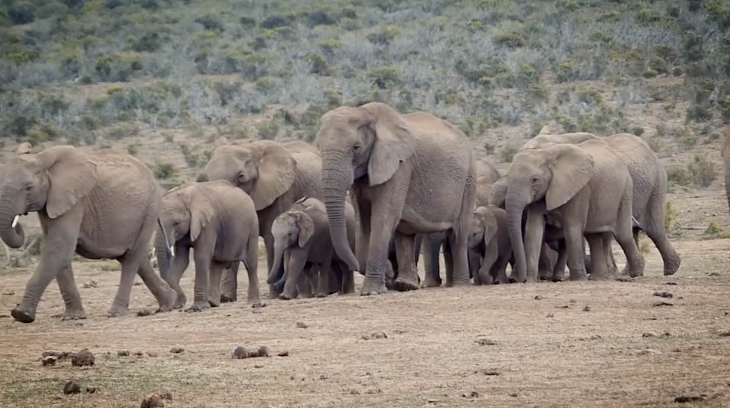 Grant Projects — Adventure Travel Conservation Fund